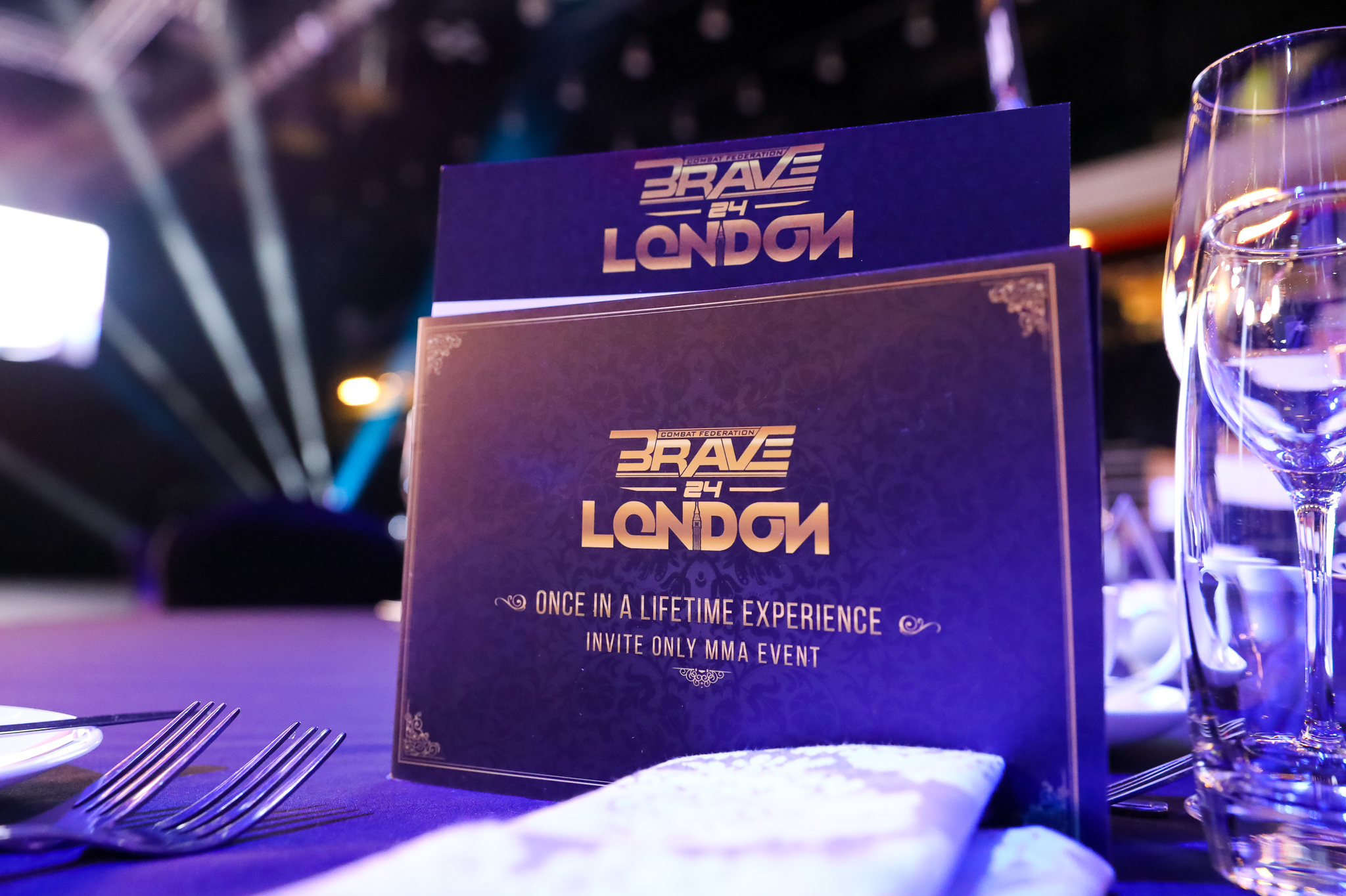 Pinnacle Event Staff champion at MMA - Pinnacle Event Staff